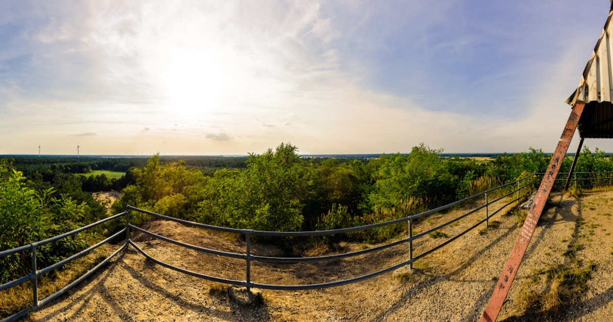 Wilder Wald am Fuß des Wietzer Ölbergs - Waldkundliche Wanderung vom ...