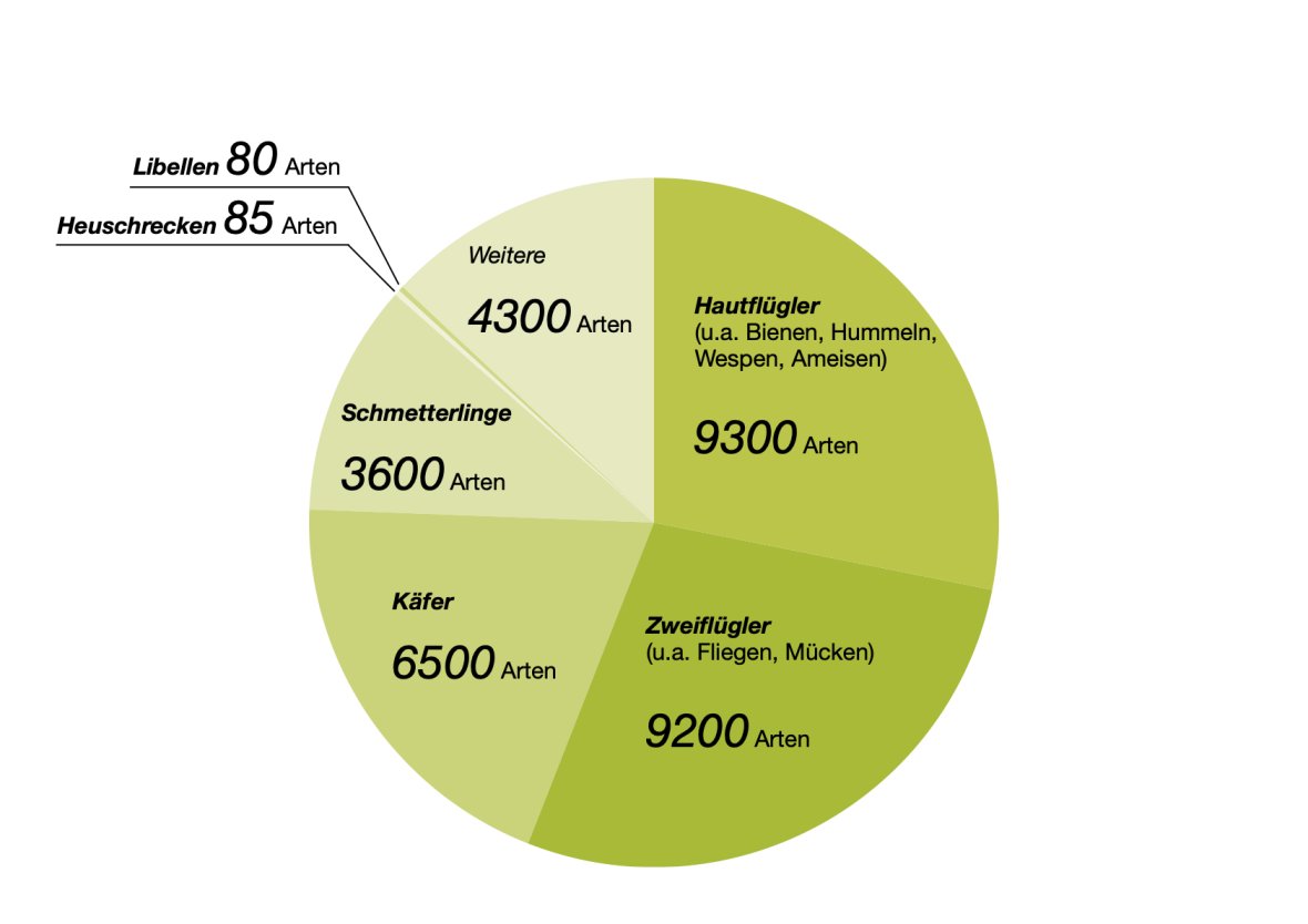 Warum ist Umweltschutz wichtig | gv-wietze